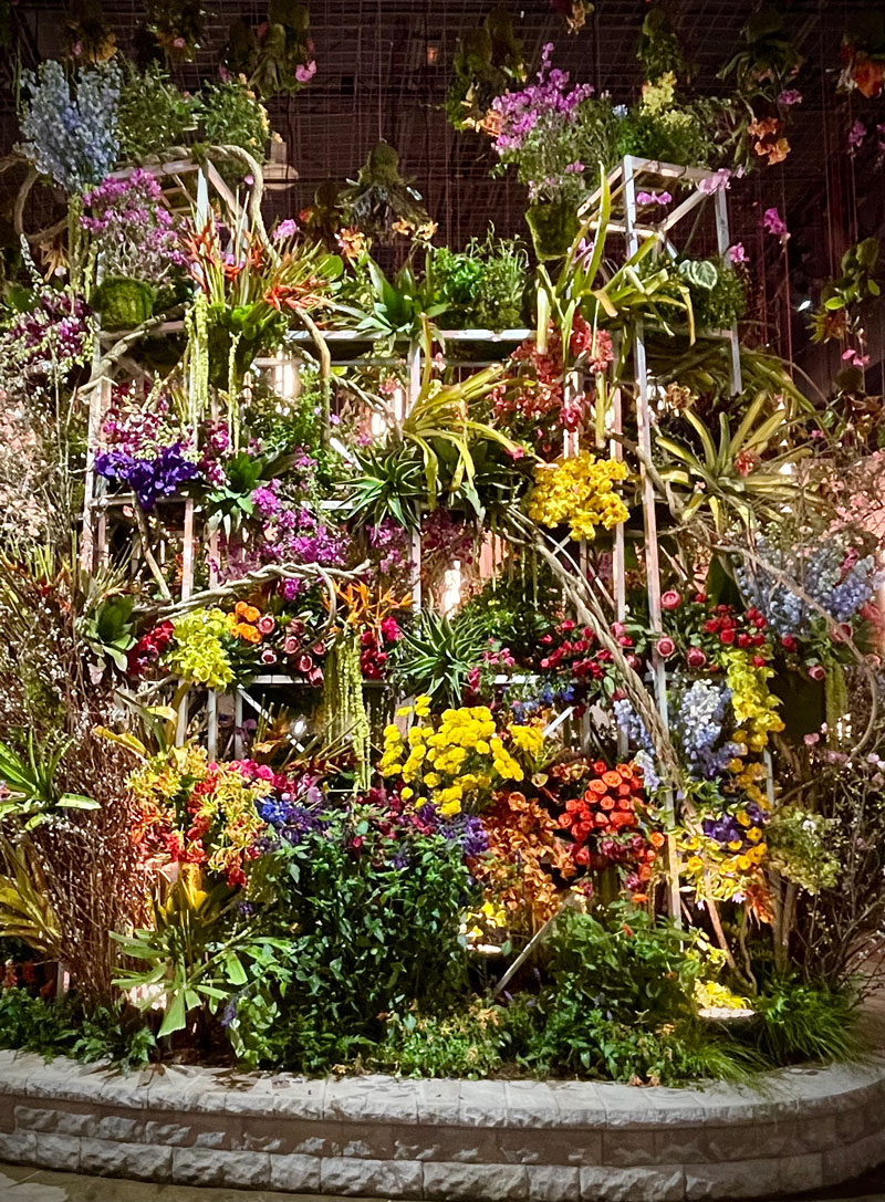 From Colombia to the Philadelphia Flower Show: An Industry is ...